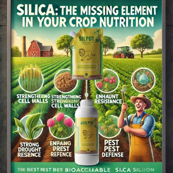 Silica: The Missing Element In Your Crop Nutrition | MitraSena